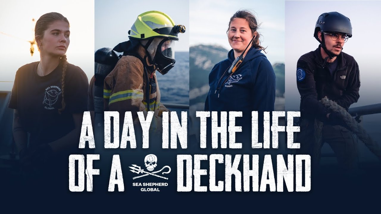 A Day in the Life of a Deckhand - YouTube