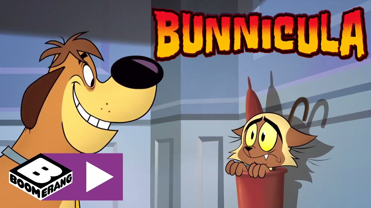 Le singe fou | Bunnicula | Boomerang - YouTube