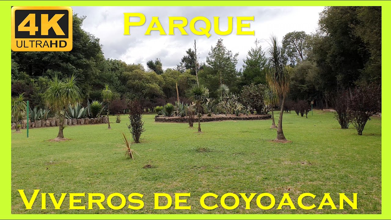 PARQUE VIVEROS DE COYOACAN - 4K - YouTube
