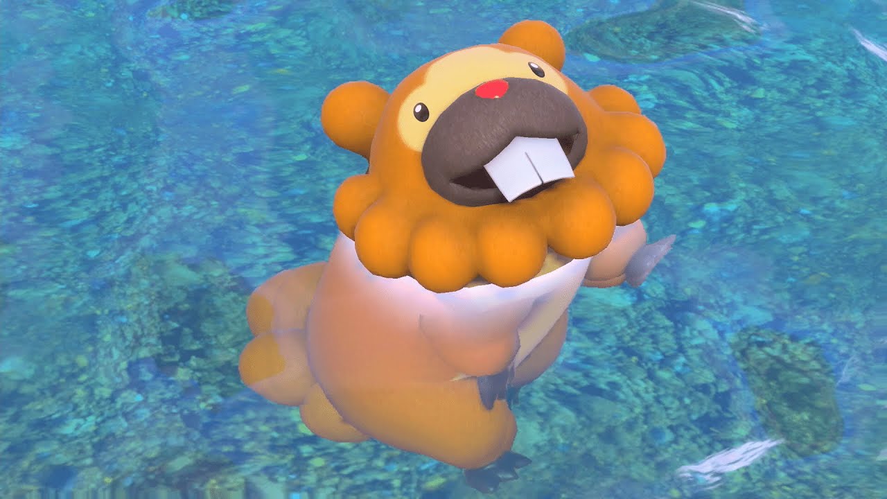 Bidoof Stall - New Pokemon Snap - YouTube