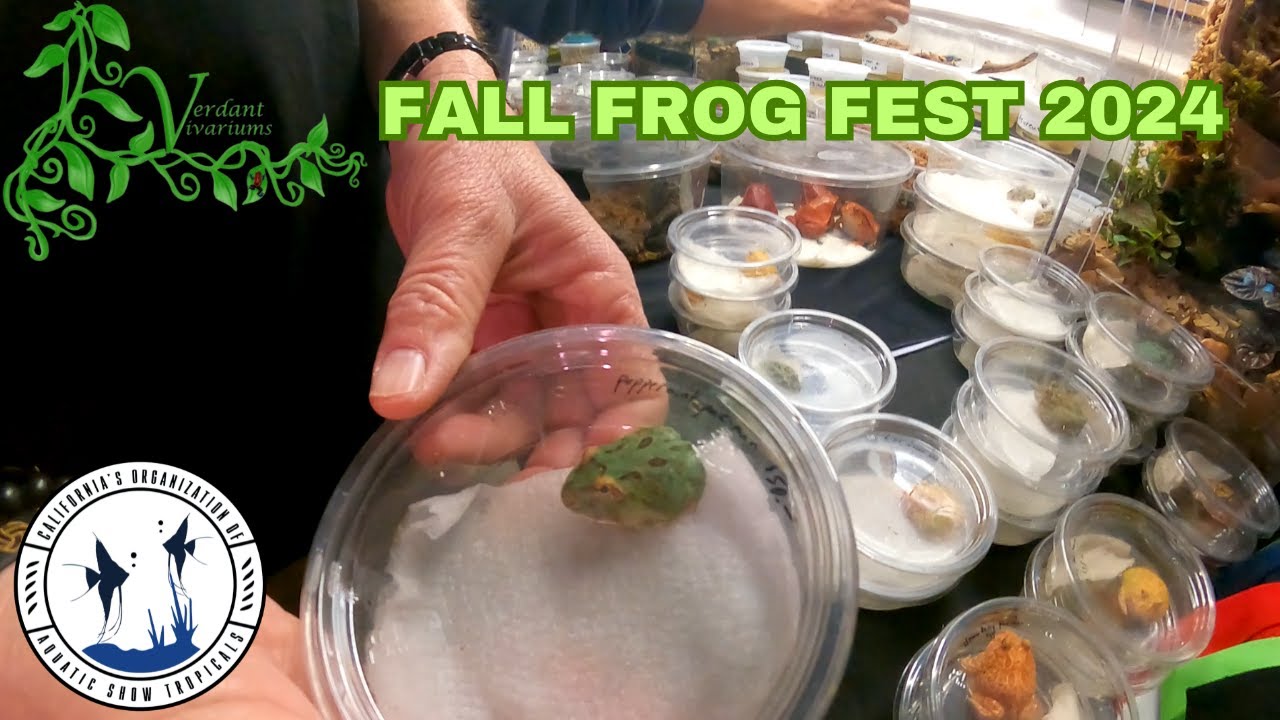 Fall Frog Fest 2024 Event @ Verdant Vivariums - Saturday 11/23/24 - YouTube