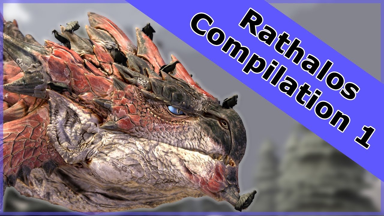 Rathalos Compilation 1 - YouTube