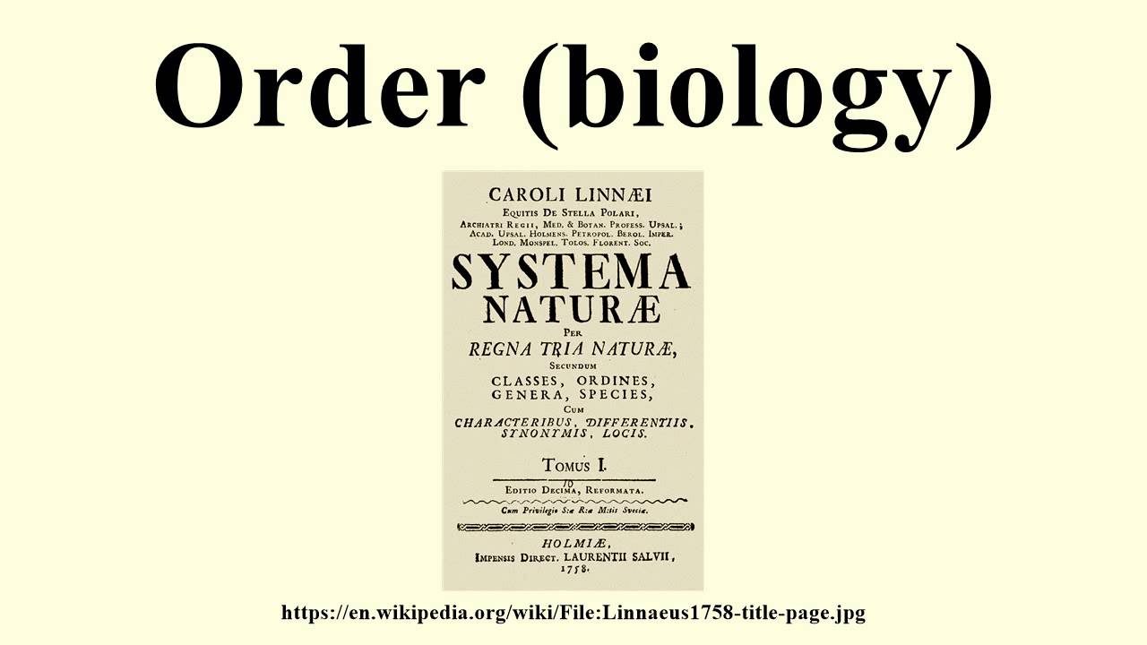 Order Biology