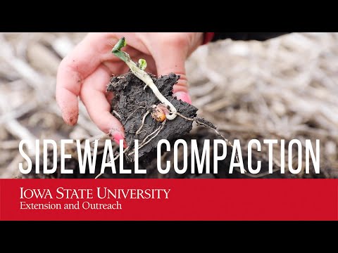 Sidewall Compaction - YouTube