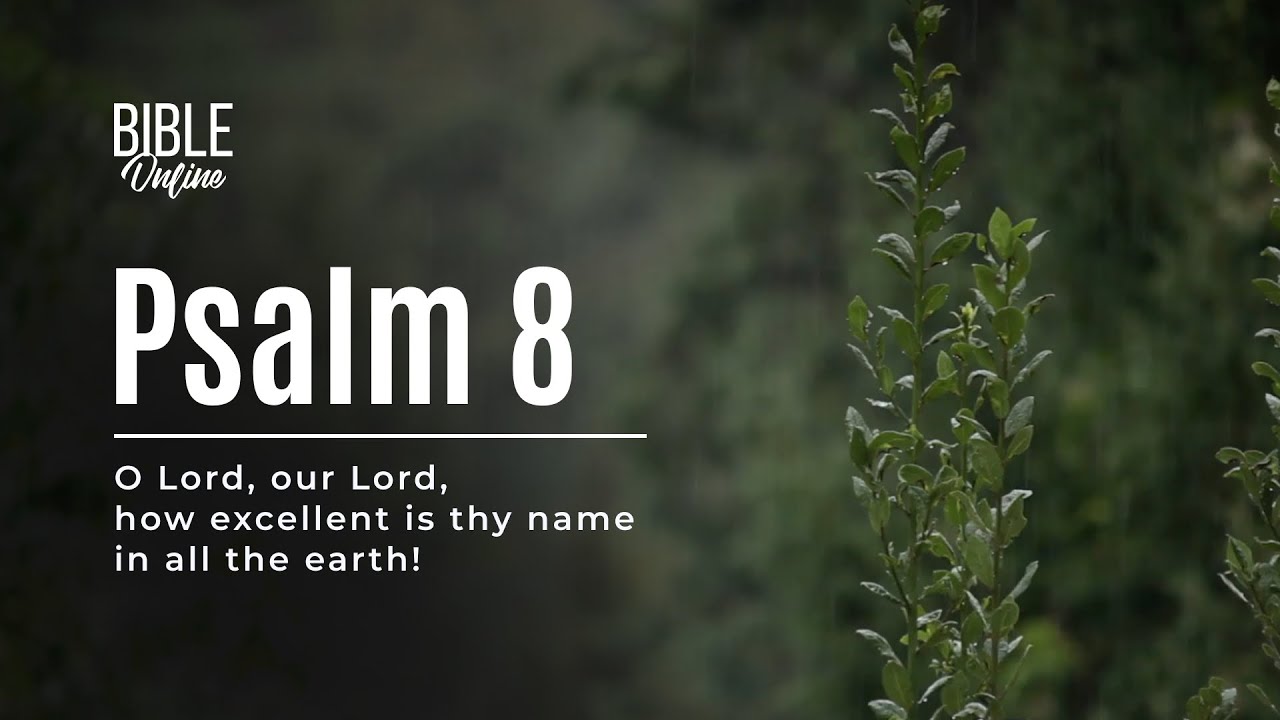 Holy Bible.Psalm 8 - O Lord, our Lord, how excellent is thy name in all ...