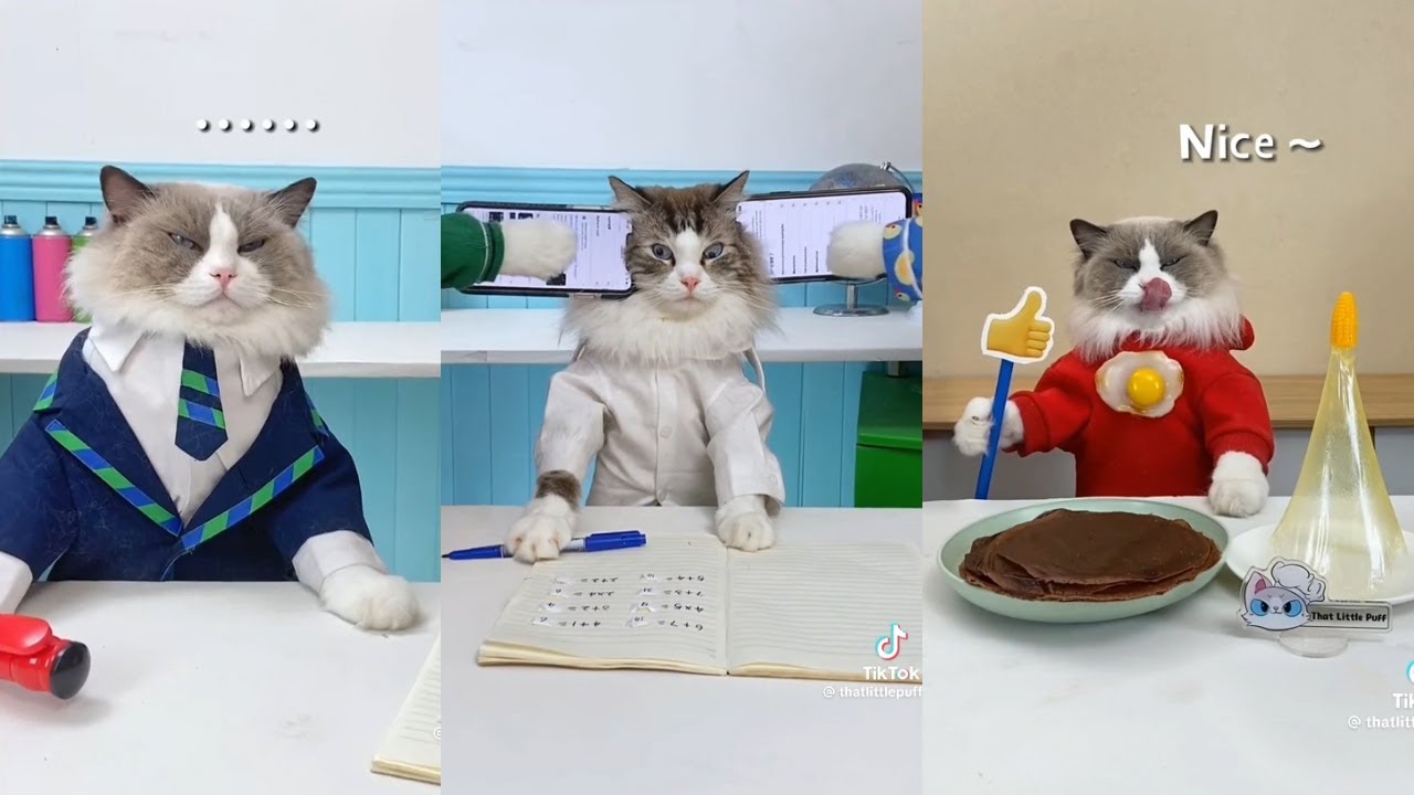 That Little Puff - Best TikToks April 2024 - YouTube