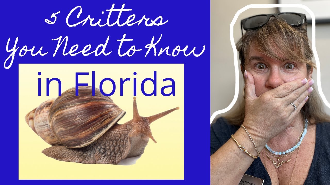5 Critters You Must Know in FLorida - YouTube