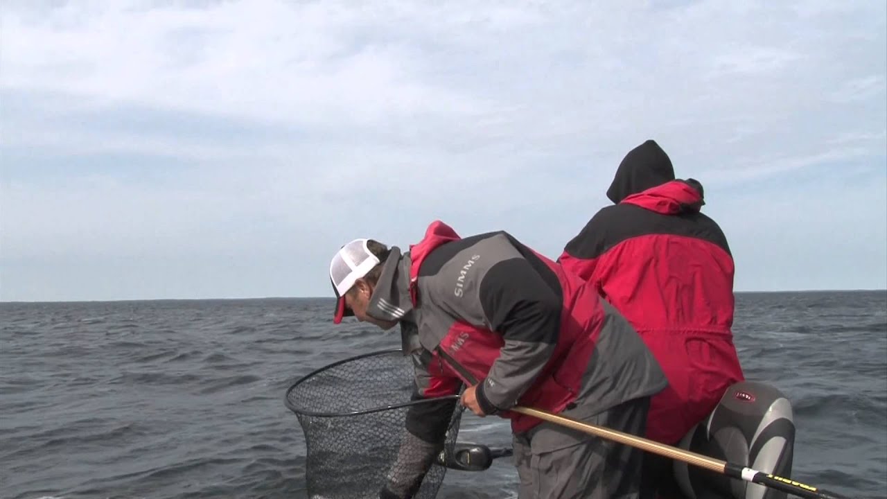 Tony Roach Fishing Report Mid June Bottom Bouncing Continues - YouTube