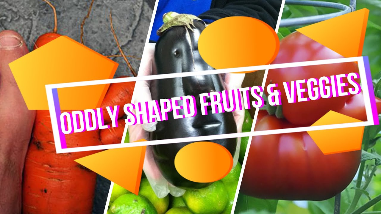 Unusually shaped Fruits and Vegetables alphabetically I Odd weird ...