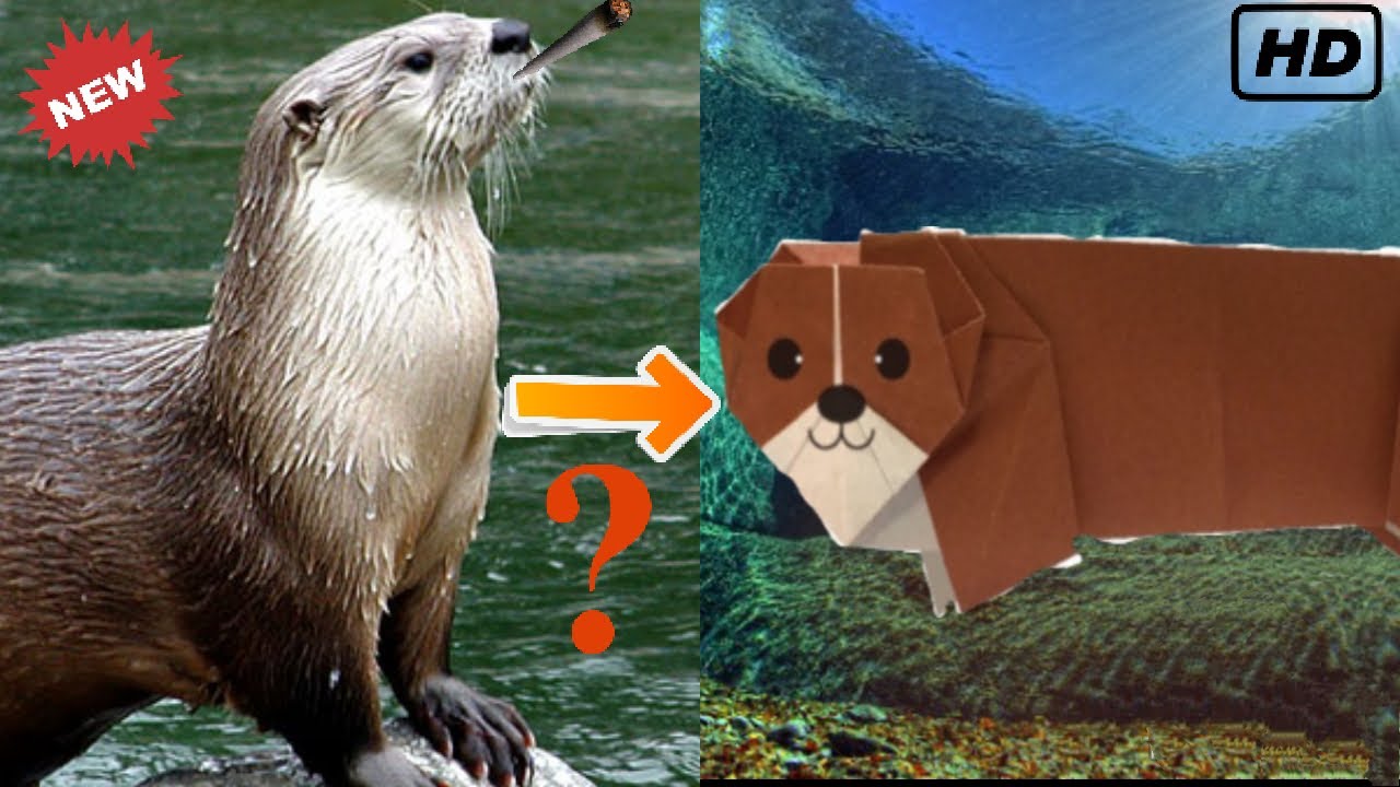 Origami Otter.II Easy Craft.II जरूर देखें। - YouTube