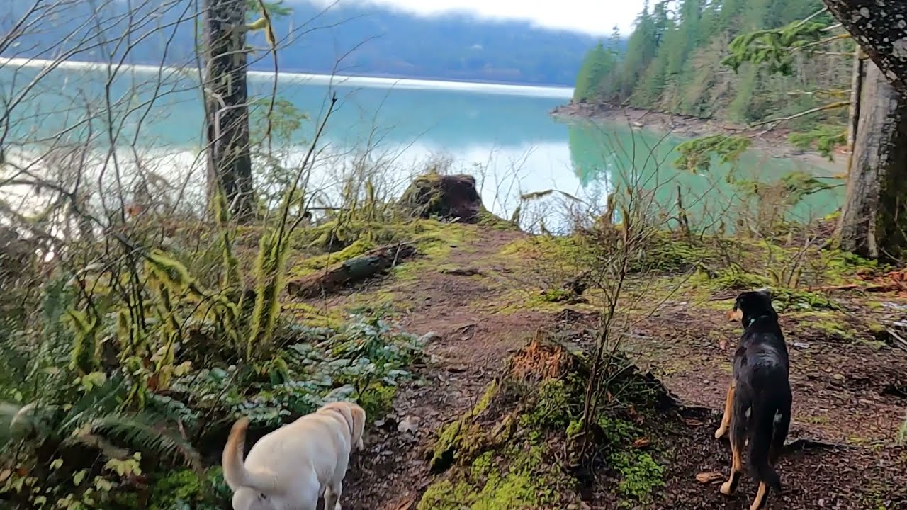 December Lake Camping 4 - YouTube