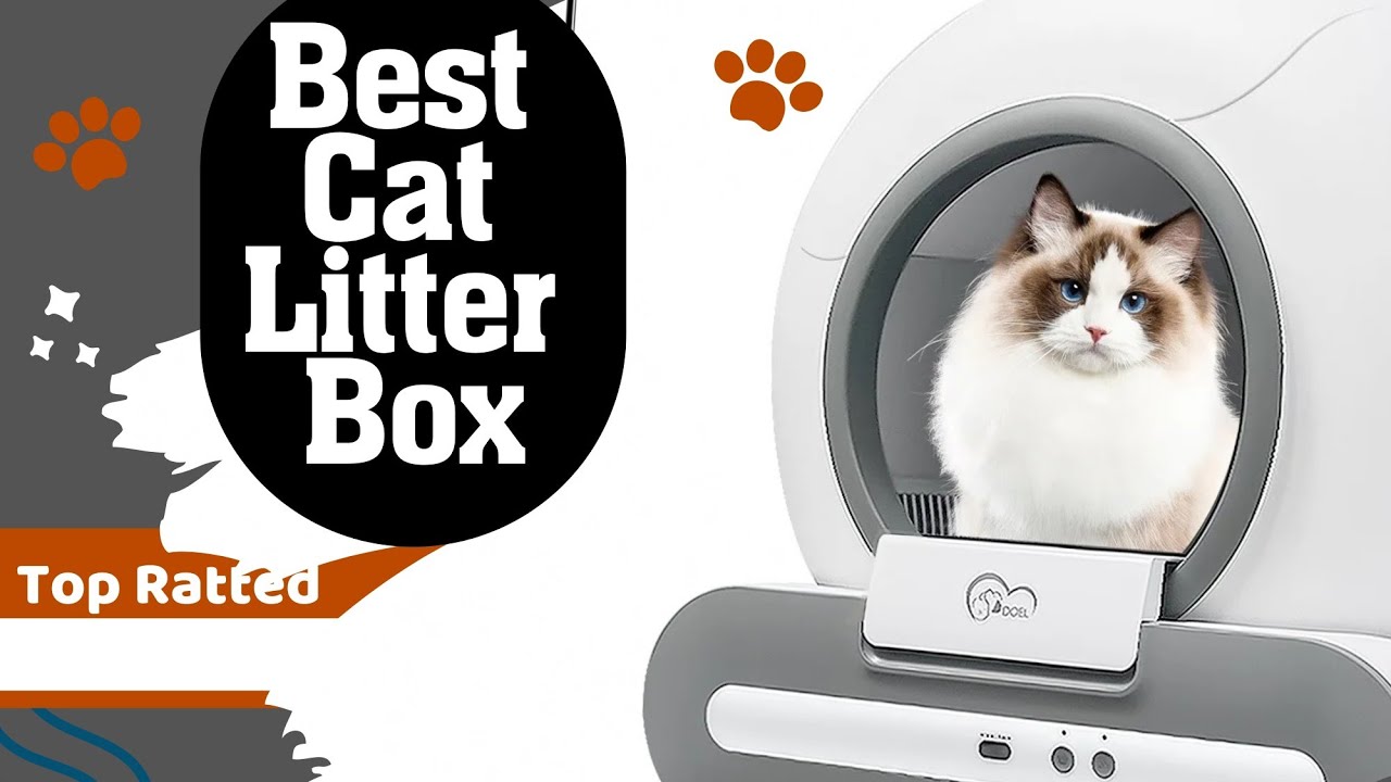 DOEL Automatic Cat Litter Box Self Cleaning (Best in 2025) - YouTube