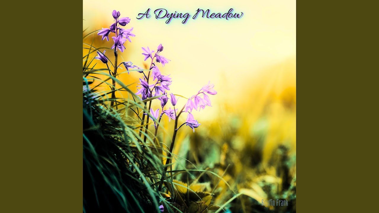 A Dying Meadow - YouTube