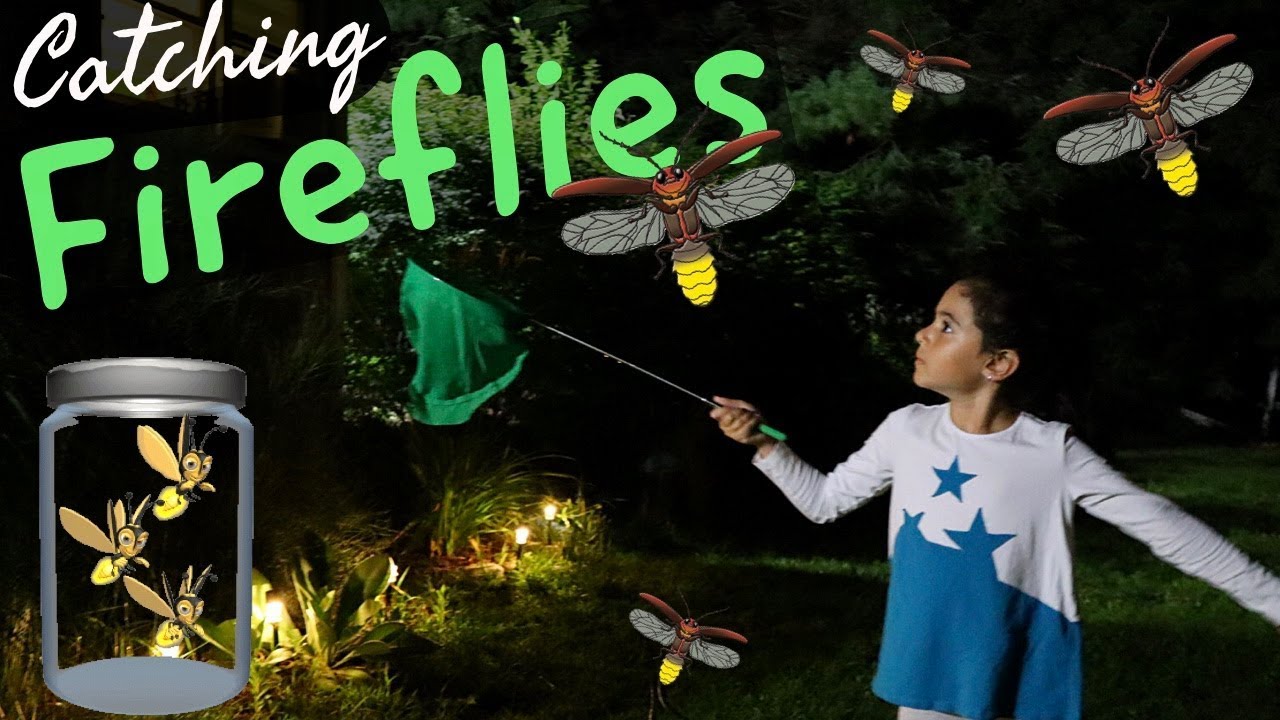 HOW (not) TO CATCH FIREFLIES | SET THEM FREE FAST!!! - YouTube