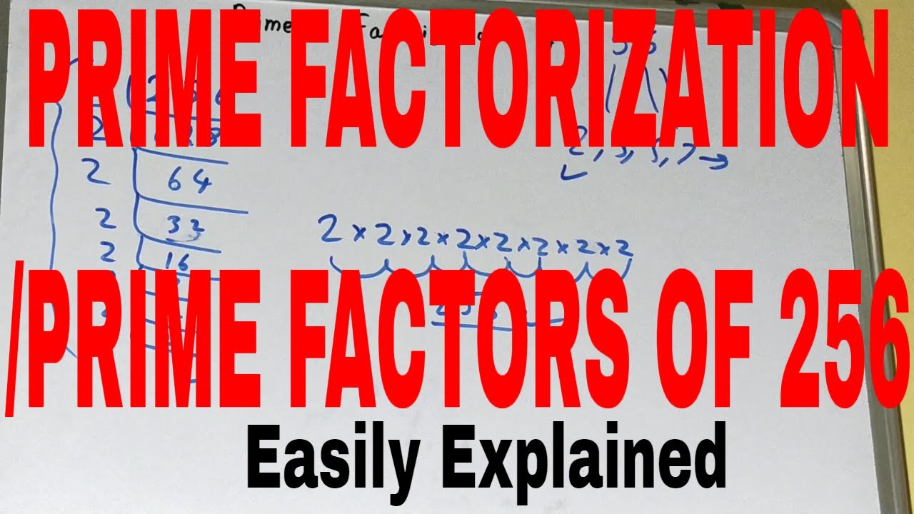 Prime Factorization Of 256 Prime Factors Of 256 Write Prime
