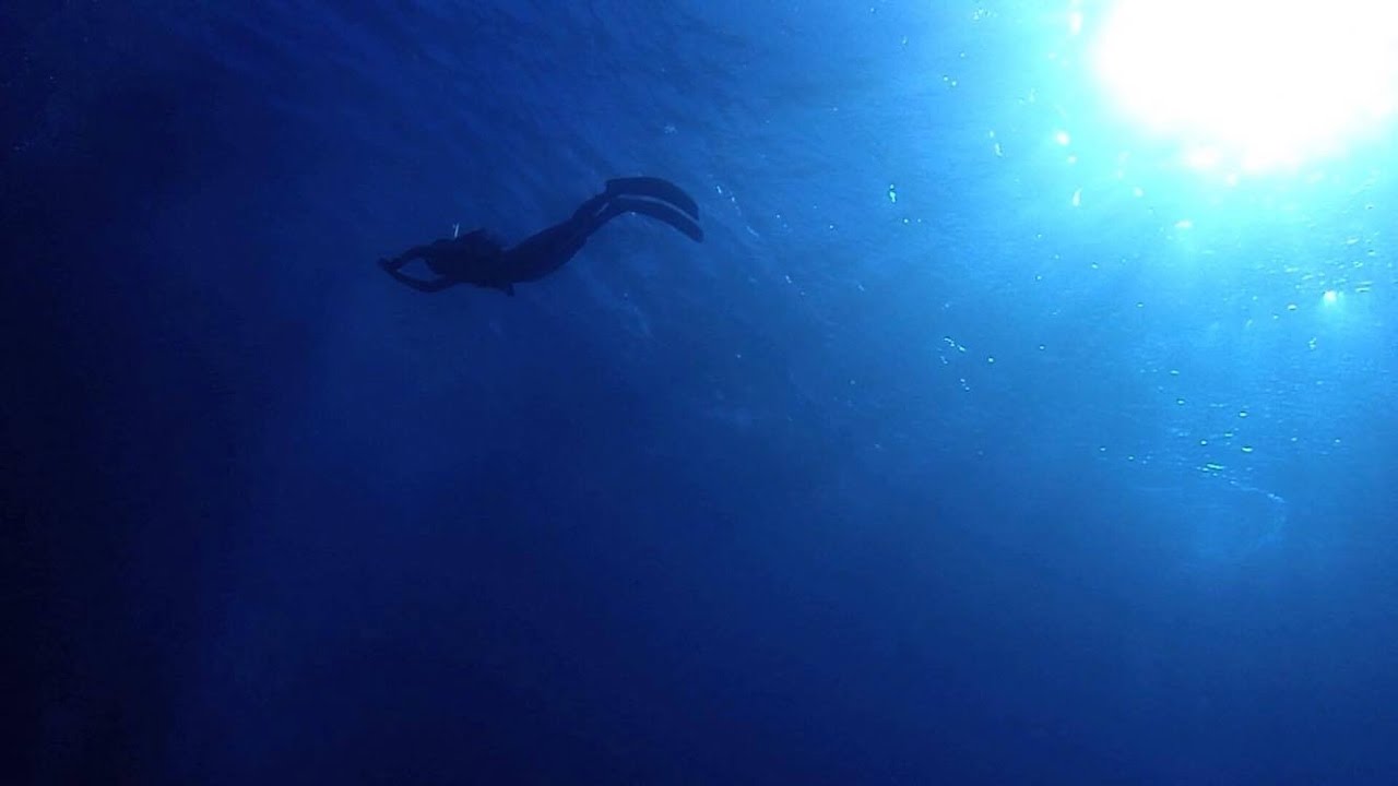 Freediving - First Dive! 2017, IOP - YouTube
