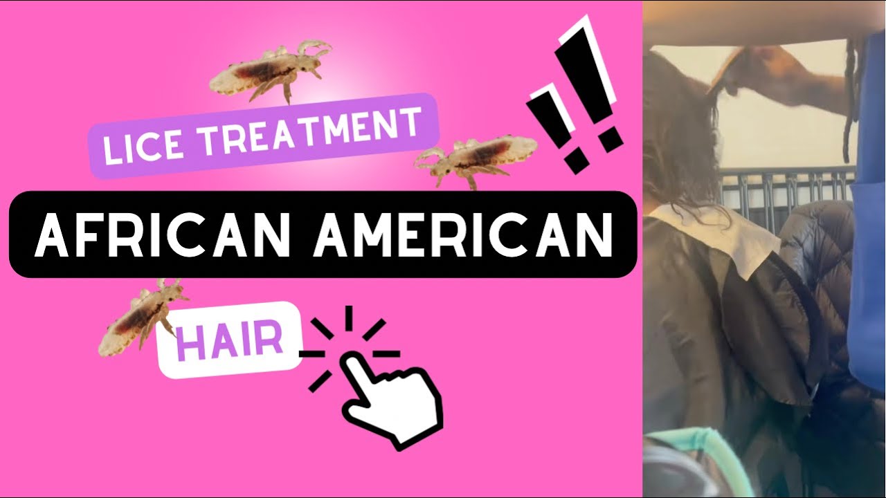 Lice Treatment on African American Hair @staceythelouselady l Lice ...