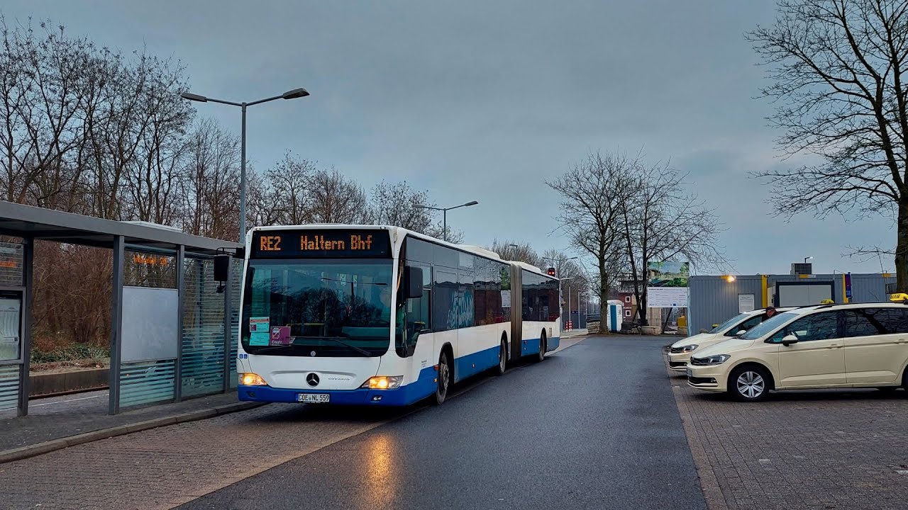 Mercedes-Benz Citaro O 530 G FL | COE-NL 559 | Reisedienst Lücke GmbH ...