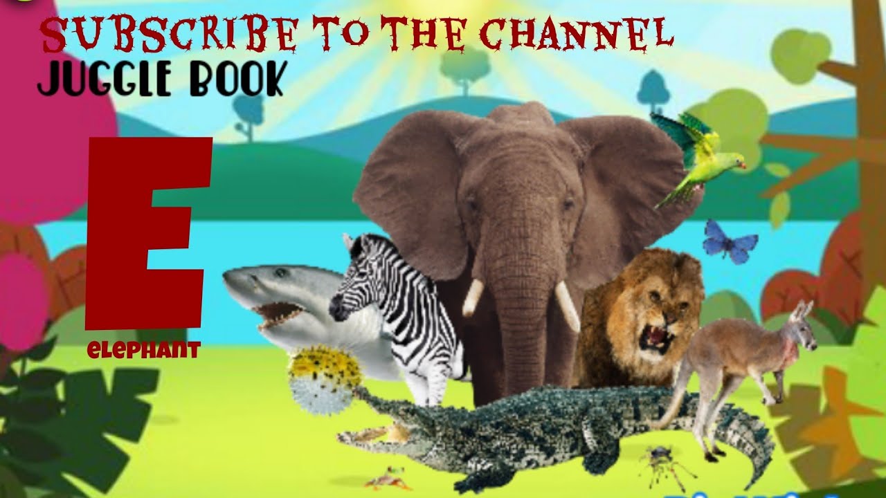 video for this paragraph is "The Lion and the Mouse" by The Lion King.# ...