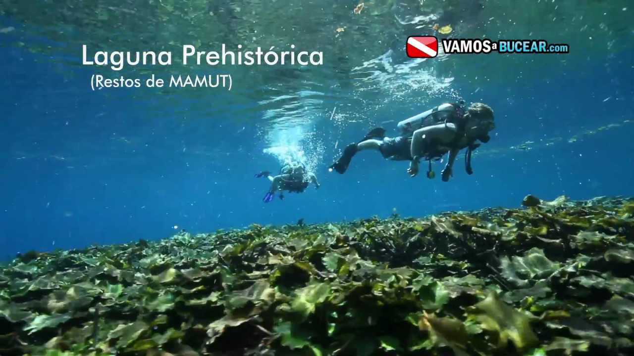 San Luis Potosi Media Luna La Media Luna | Sin Postal