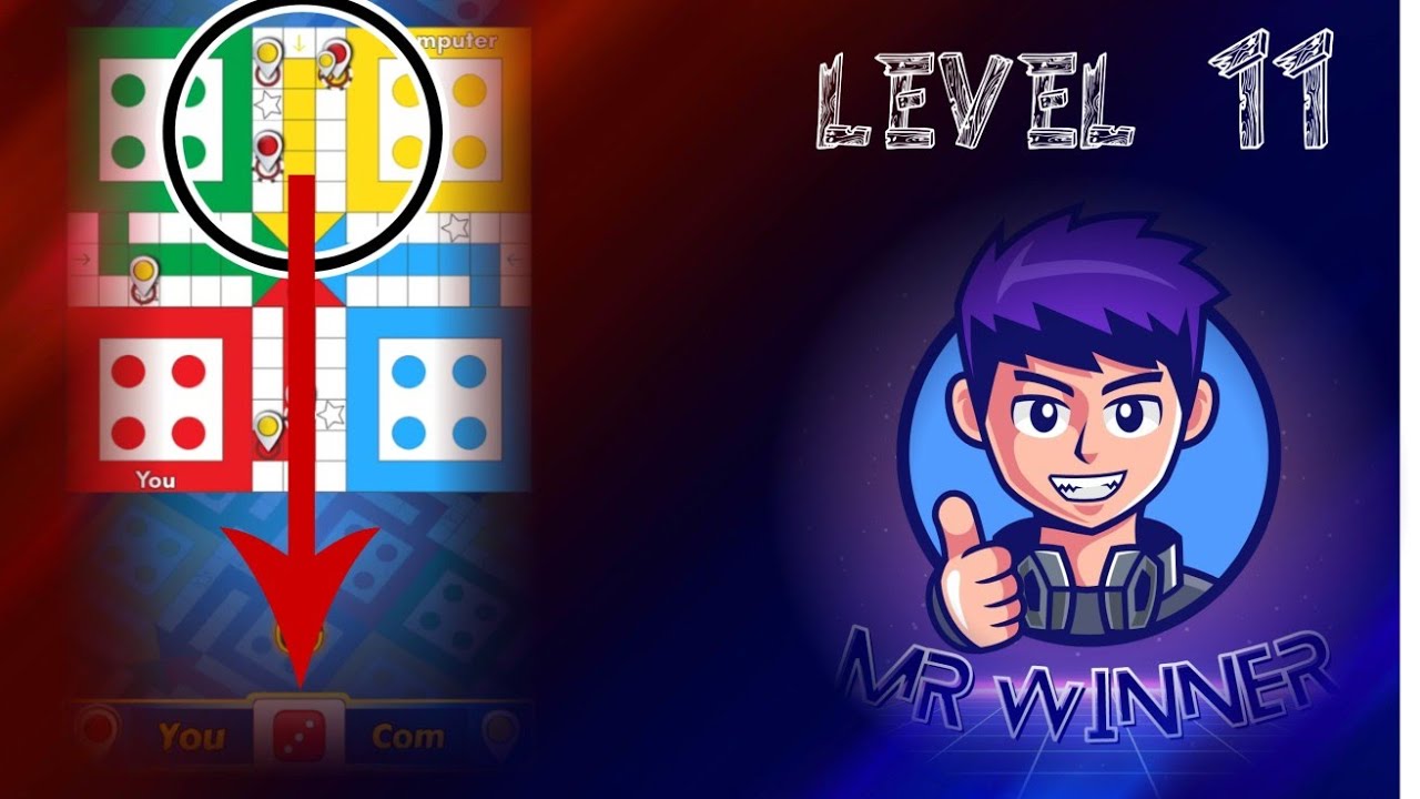 Mr winner Ludo Game level 11 || Ludo Game in 2 player || King ludo game ...