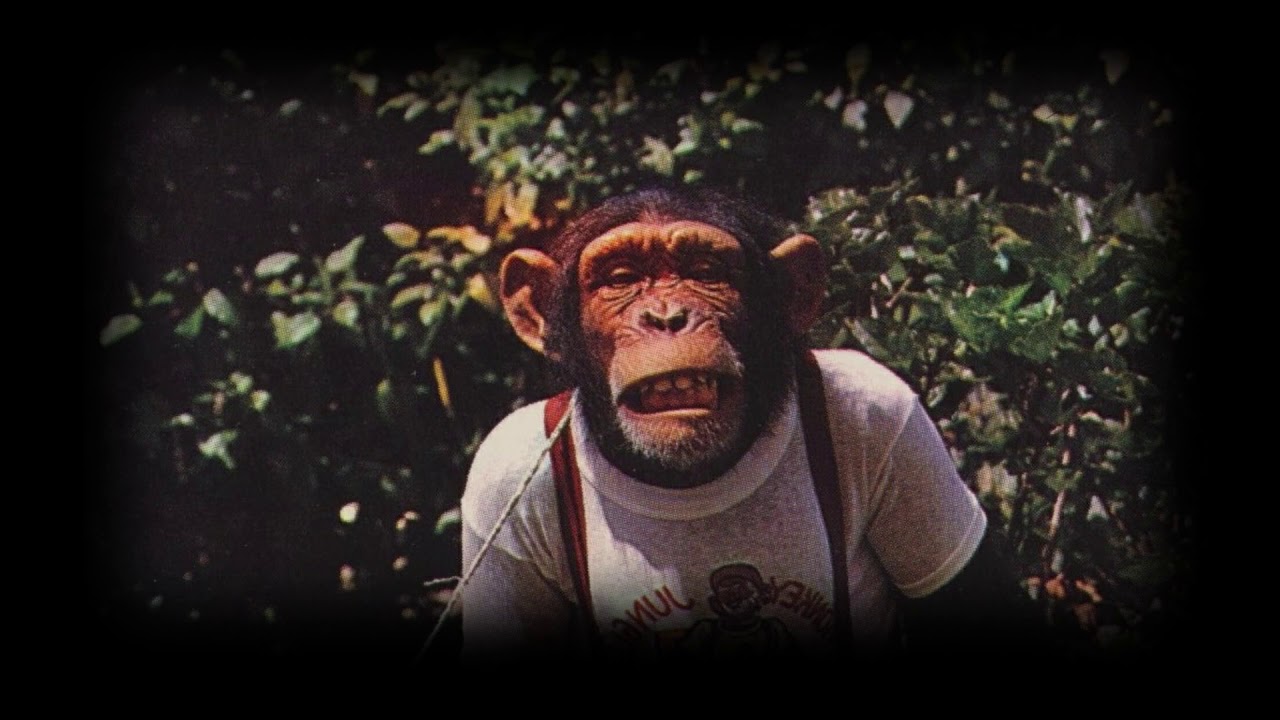 Chuck - Blue Moon - YouTube