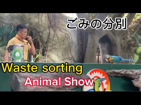 Amazing animal show at Crocodile Park and Zoo. - YouTube