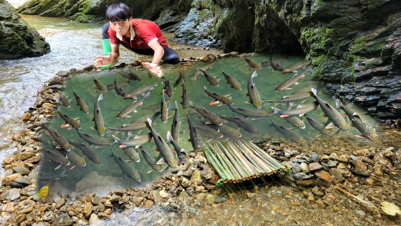 Boy Lam created a very unique way to trap fish to catch fish ...