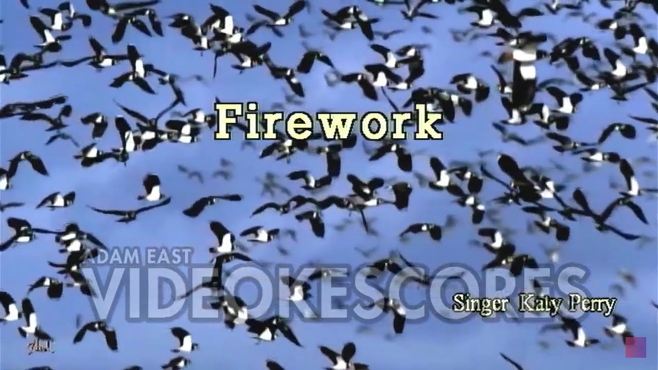 Katy Perry - Firework (Karaoke/Lyrics/Instrumental) - YouTube