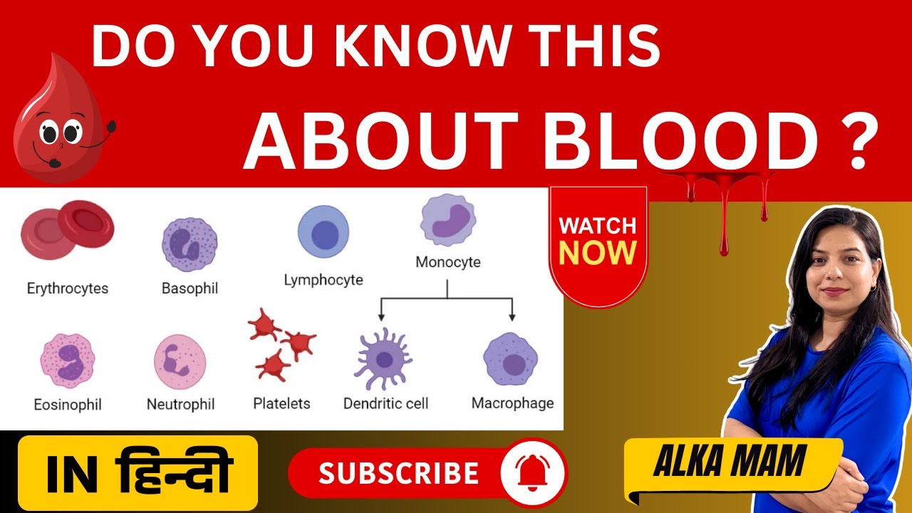 RBC, WBC & Platelets Explained: Normal Range, Increased/Decreased ...