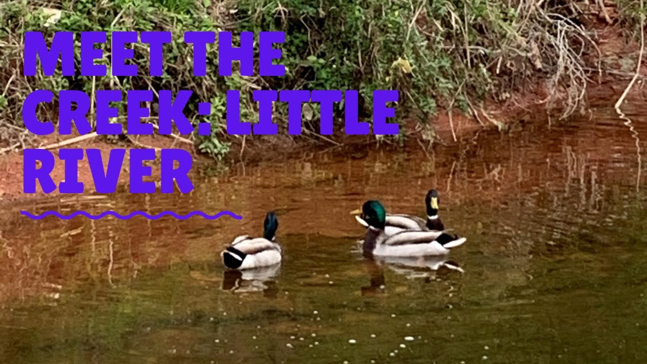 Meet Our Creek: Little River - YouTube