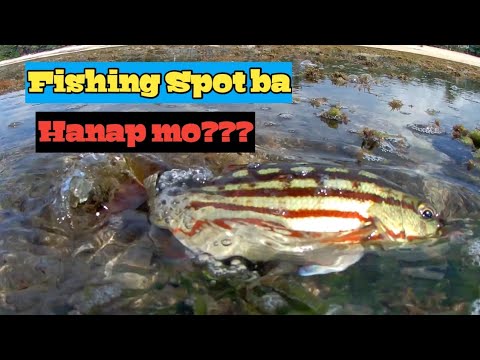 Mga Fishing Spot sa Pangasinan - YouTube