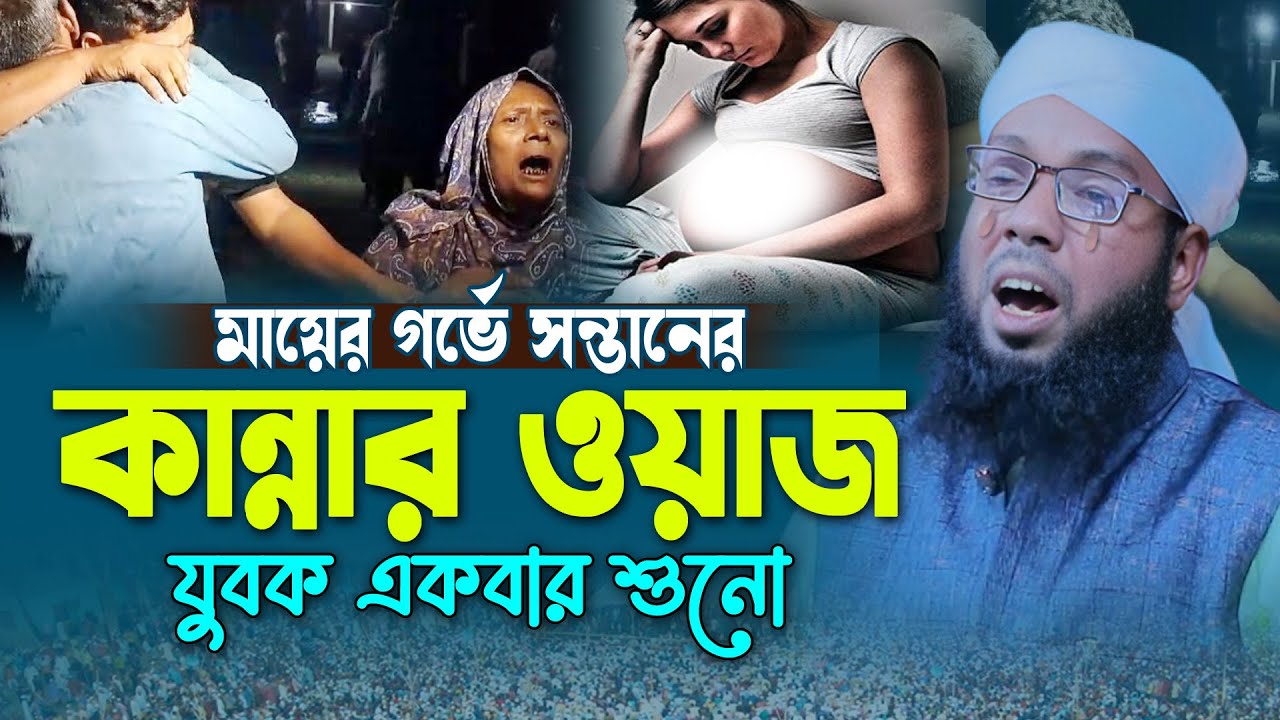 গর্ভবতী মায়ের কান্নার ওয়াজ | মুফতি মুহাম্মাদুল্লাহ শাহীন | mufti mohammadullah shahin new waz ...