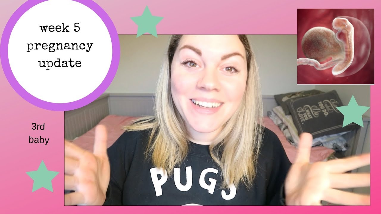 5 Weeks Pregnancy Update - baby 3 - YouTube