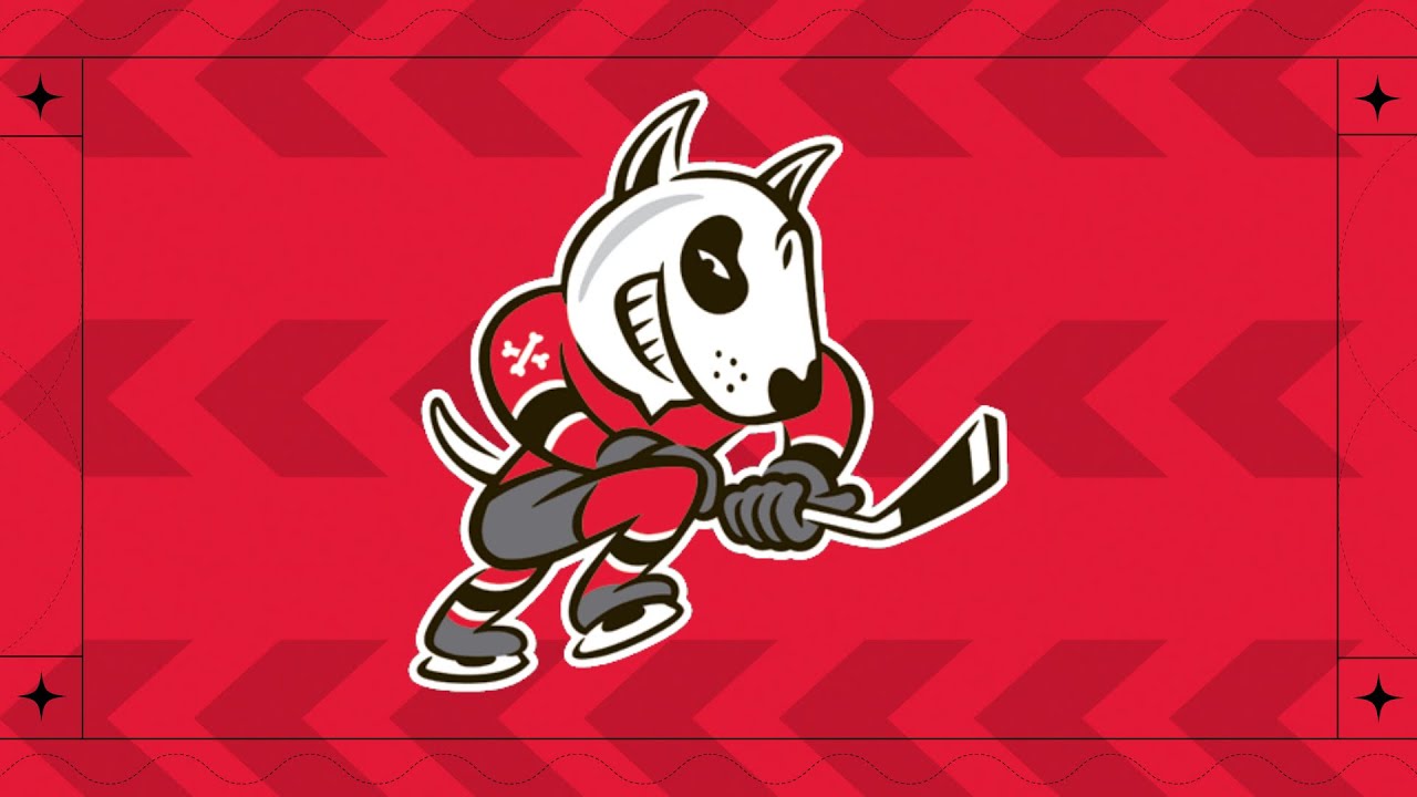 Niagara IceDogs Goal Horn OHL 21-22 - YouTube