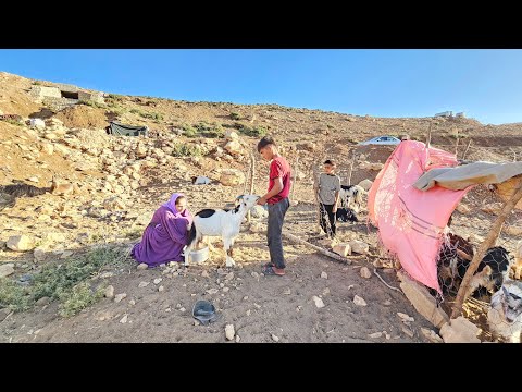 🌿The Hard Life of Nomads: Fatima's Struggle to Clean the Children, the House, and Do Daily Tasks