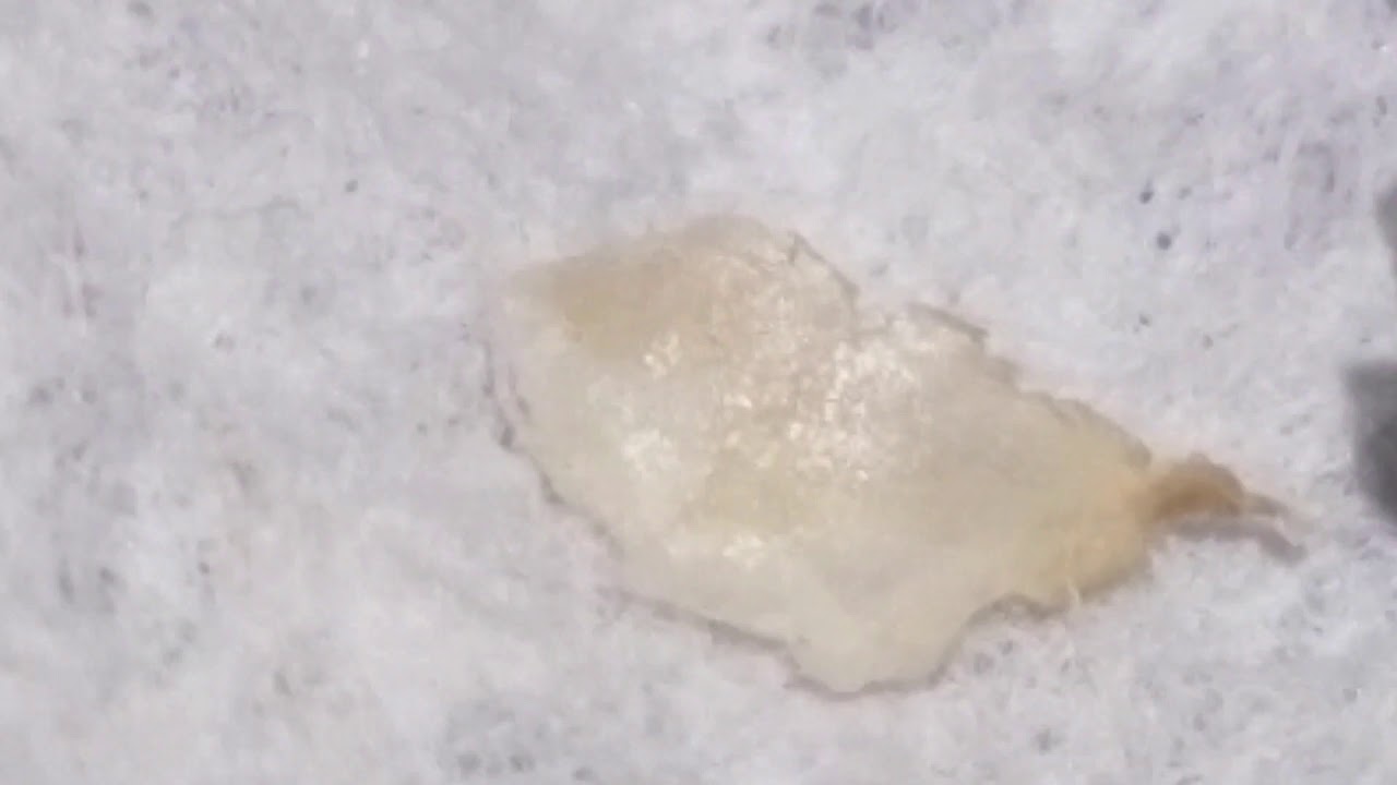 Sparkling Bright White Morgs !! (Part One of Two) Looks like Skin, It ...