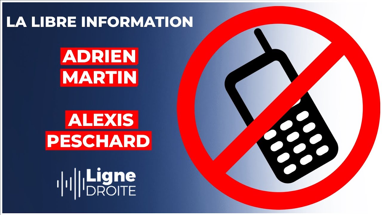 Comment lutter contre l'addiction au smartphone ? - Alexis Peschard et ...