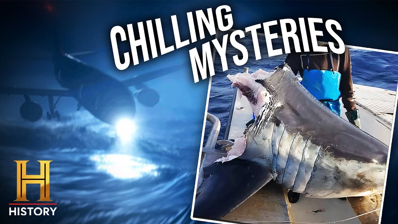 TOP 4 SHOCKING MYSTERIES OF 2024 | The UnXplained | History - YouTube