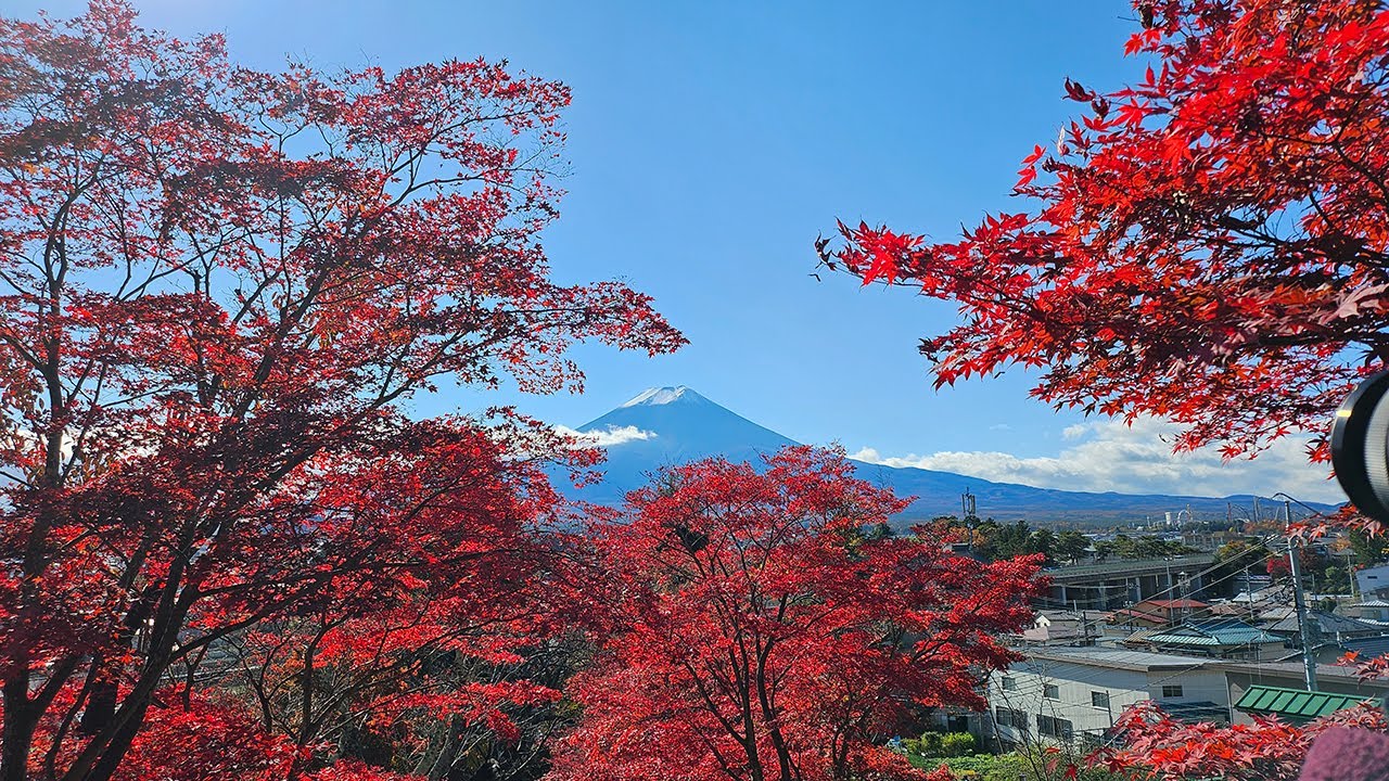 追逐富士山以及紅葉迴廊｜Chasing Mt. Fuji & Autumn Leaves｜Nov 19, 2024 - YouTube