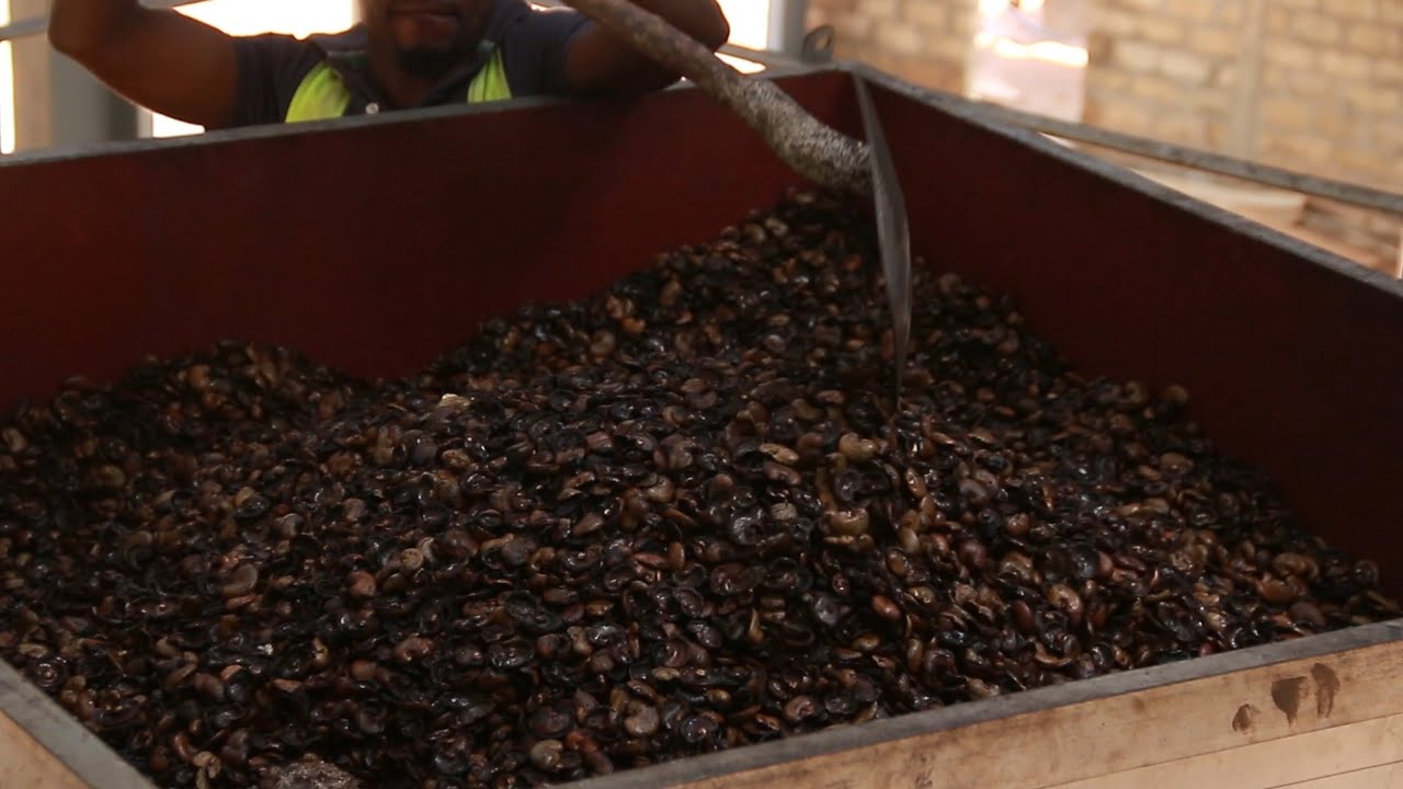 Vidéo sur la valorisation énergétique des coques de noix de cajou en ...
