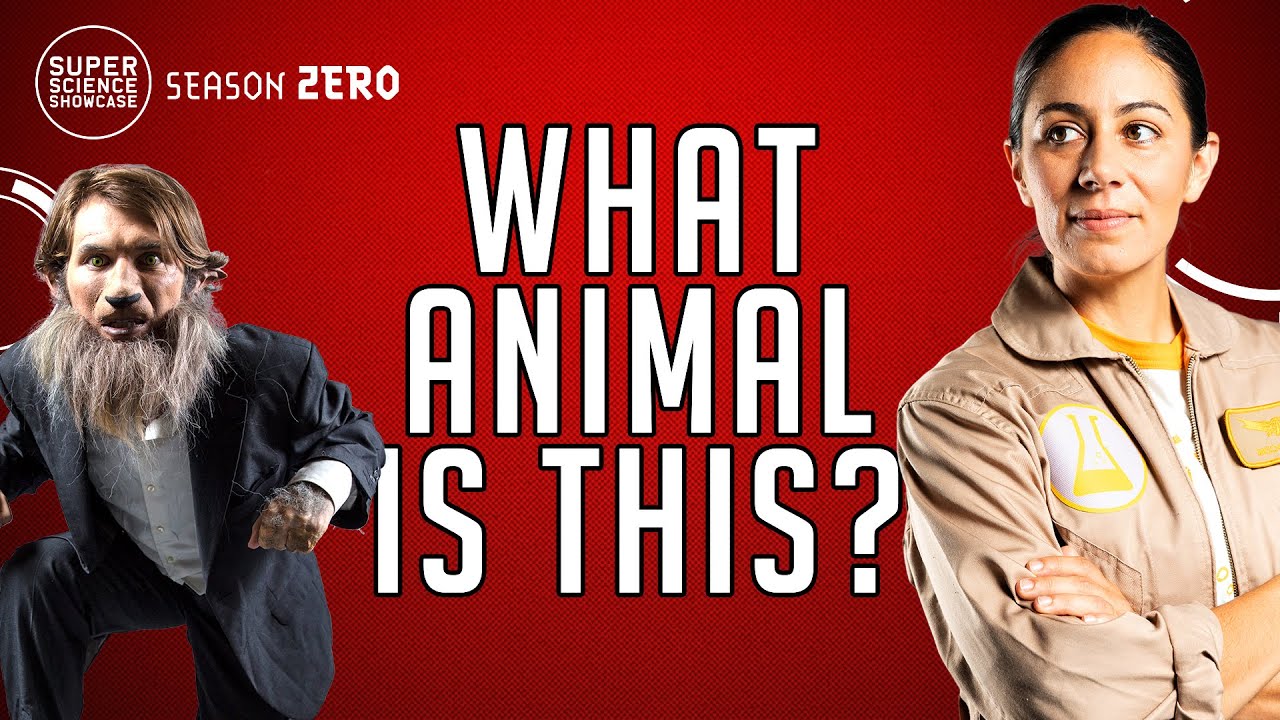 LEARN ANIMAL CLASSIFICATION | STEM Series | Super Science Showcase ...