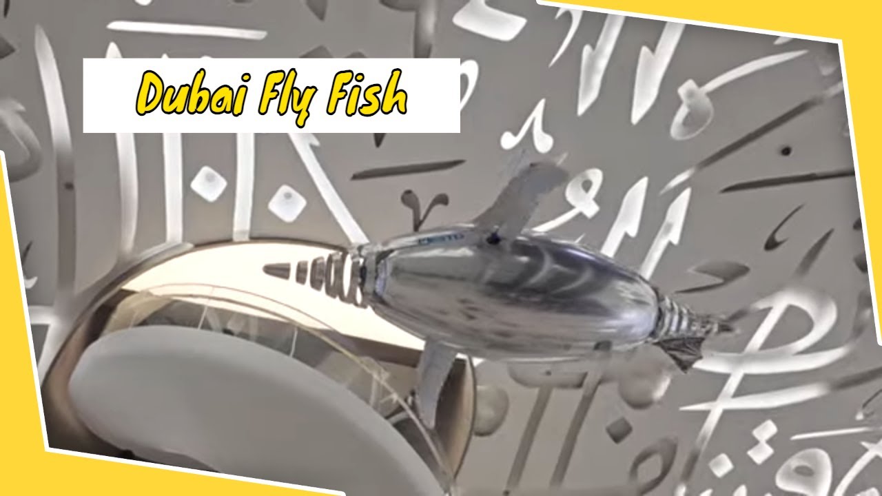 The Dubai Museum Of Future Fly Fish: A Closer Look At The Future Of ...