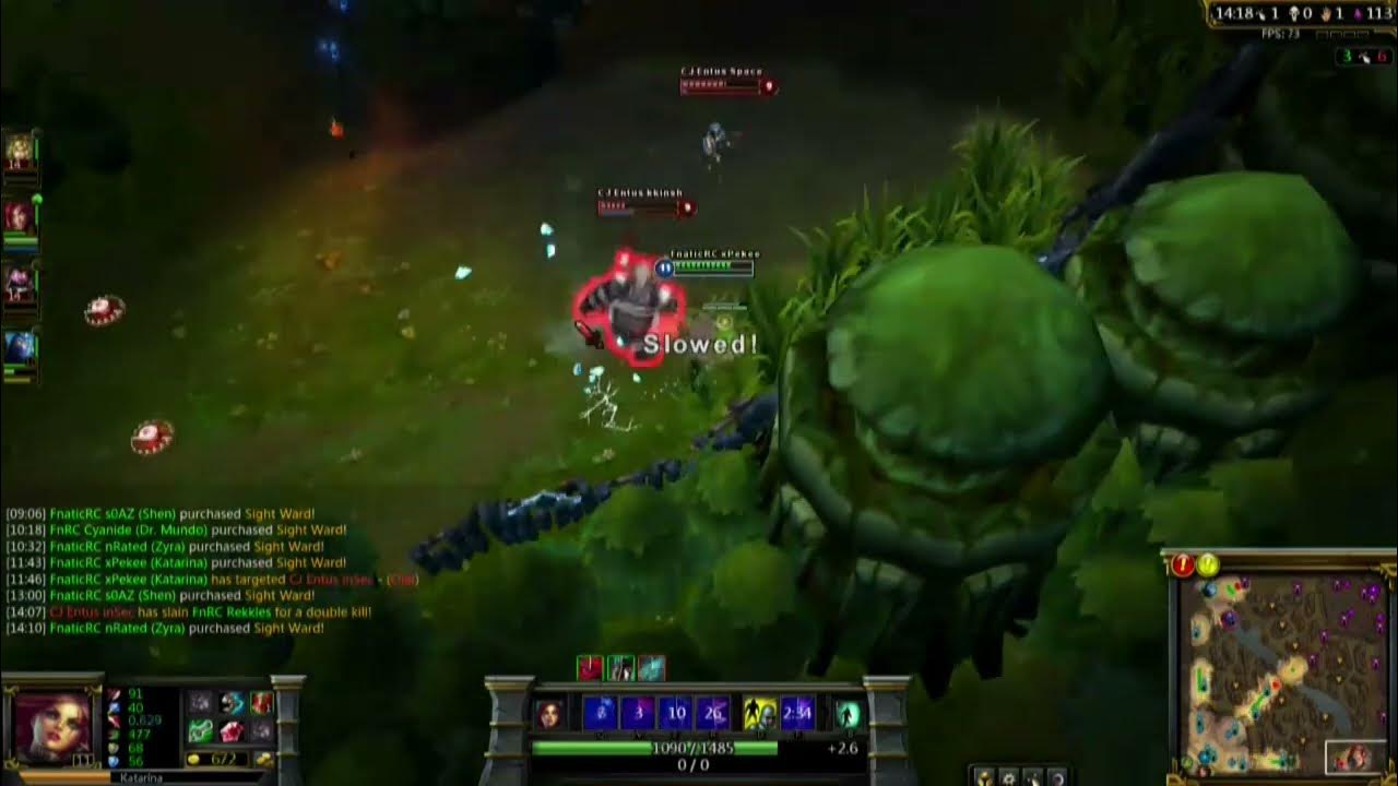 Fnatic xPeke's POV vs CJ Entus - IEM Cologne - YouTube