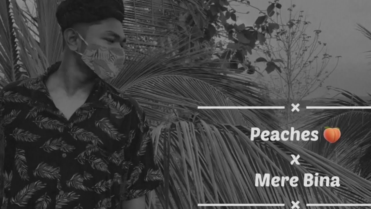 #dance#terebina#peache Peaches x mere Bina (mashup by aksh baghla ...