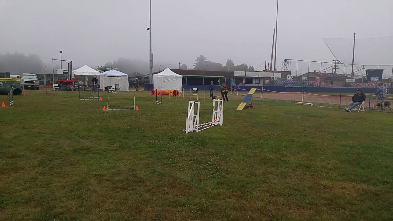 Fudge Standard, HumDOG CPE August 2016 - YouTube