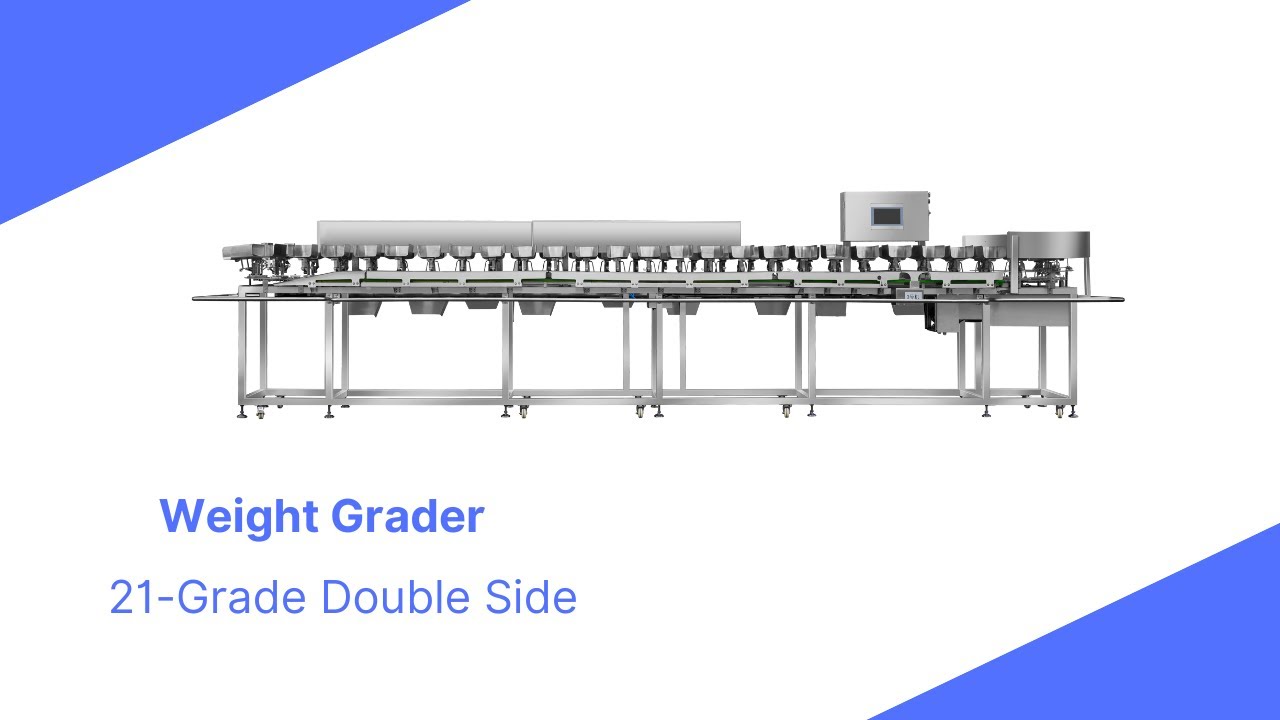Customized 21-Level Bilateral Rotary Trays Weight Sorting Machine ...