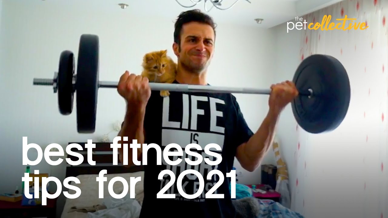 Best Fitness Tip of the Year - YouTube