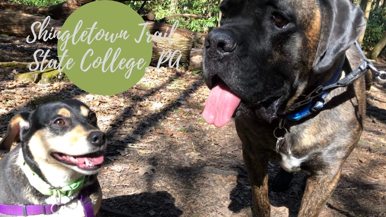 Shingletown Trail - State College, PA - YouTube