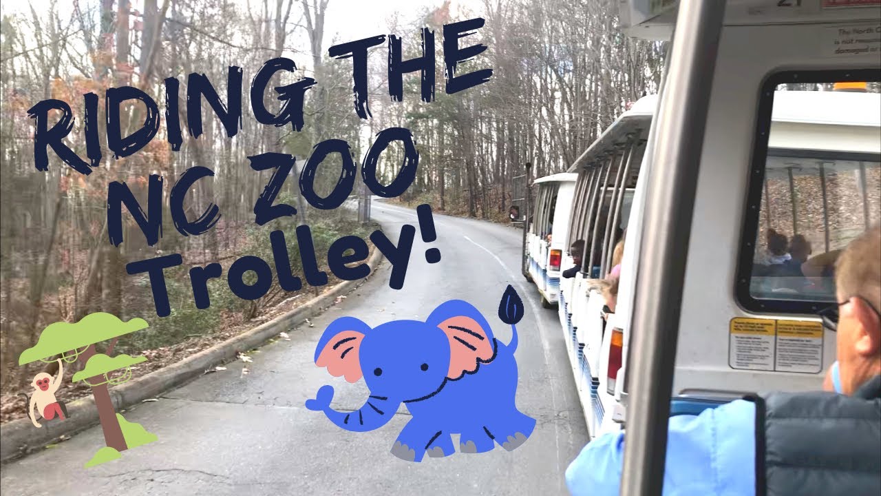 Riding The Trolley at the North Carolina Zoo! - YouTube